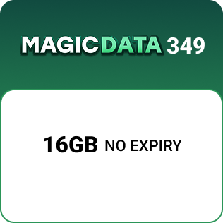 MAGIC DATA 349 | Smart Online Store.